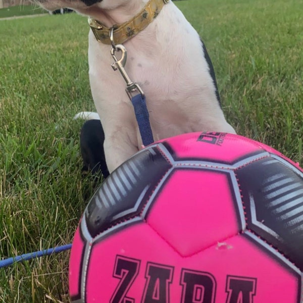 Personalised 2024 Deploy Blue Soccer Ball (SIZE 3, 4, 5) - Etsy