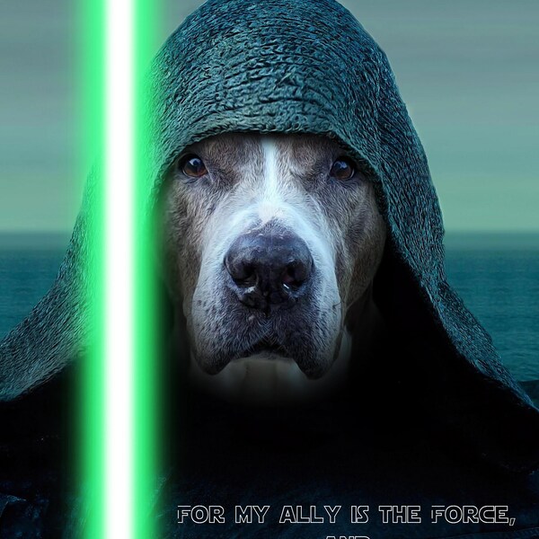 Custom Star Wars Pet Portrait, Luke Skywalker Dog Portrait, Star Wars ...