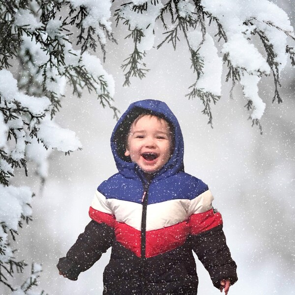 Winter Wonderland Backdrop, Portrait, Christmas Photography Backdrop ...