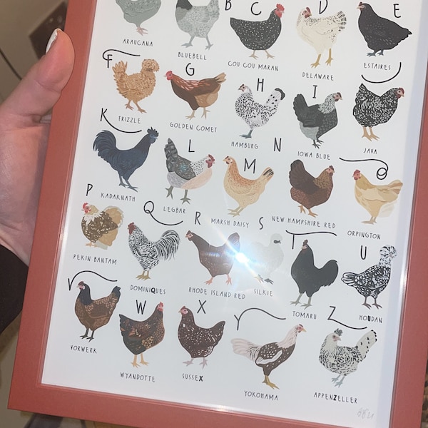 A-Z of Chickens Poster, Chicken Print, Chicken Breeds Art, Alphabet ...
