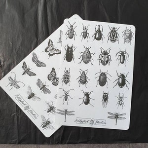 Vintage Insect Sticker Set Sticker Black and White Journal - Etsy