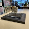 Center Post Base Display Stand for Shells and Other Hollow - Etsy