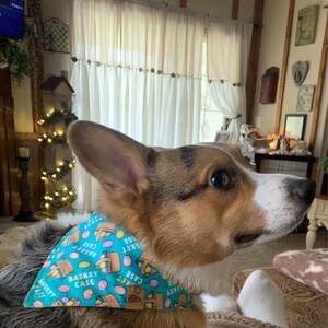 Cinco De Mayo Dog Bandana Pinata Dog Bandana Piñata Dog Scarf Cinco De ...