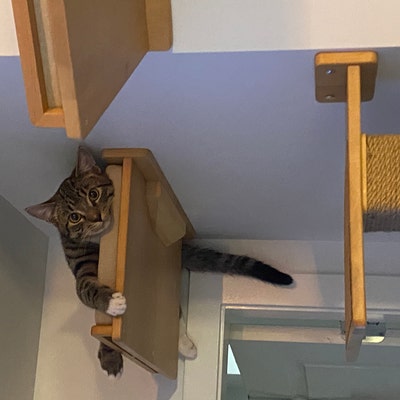 Cat Wall Bed Steps, Cat Bed, Cat Platform, Cat Wall Shelf, Cat Wall ...