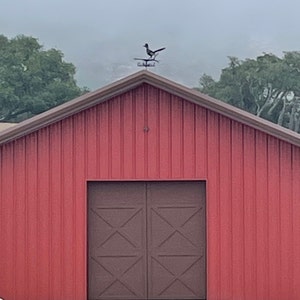 Crow Metal Weathervane Weather Vane Home Roof Decor Raven - Etsy