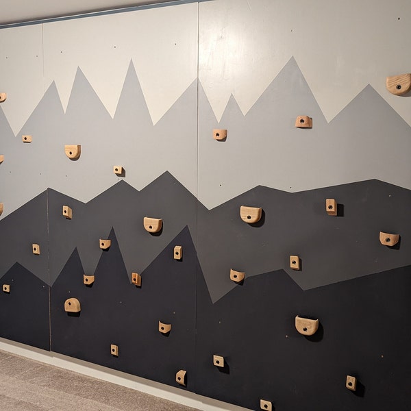 Jug Climbing Holds - Large, 4 Pieces, Screw in Climbing Holds for Rock ...