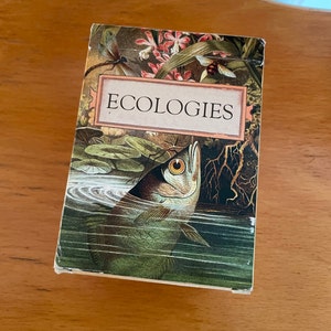 Ecologies Card Game Gameplay Inspired by Nature Use Science to Build ...