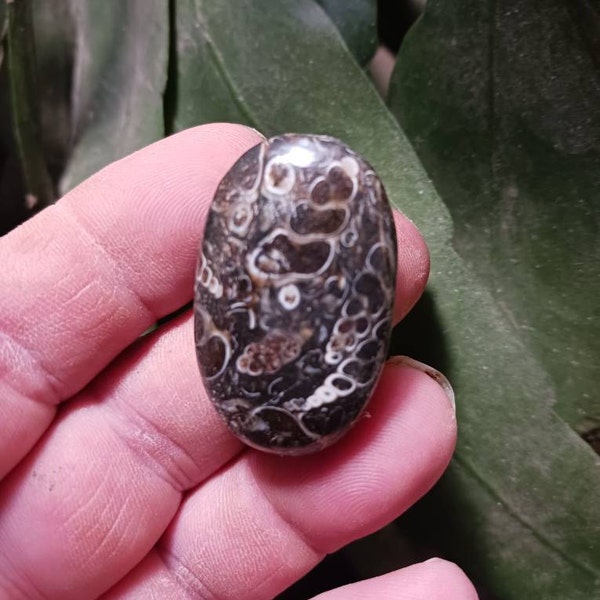 Nephrite Jade Palm Stone, Natural Nephrite Jade Palm, Nephrite Jade ...