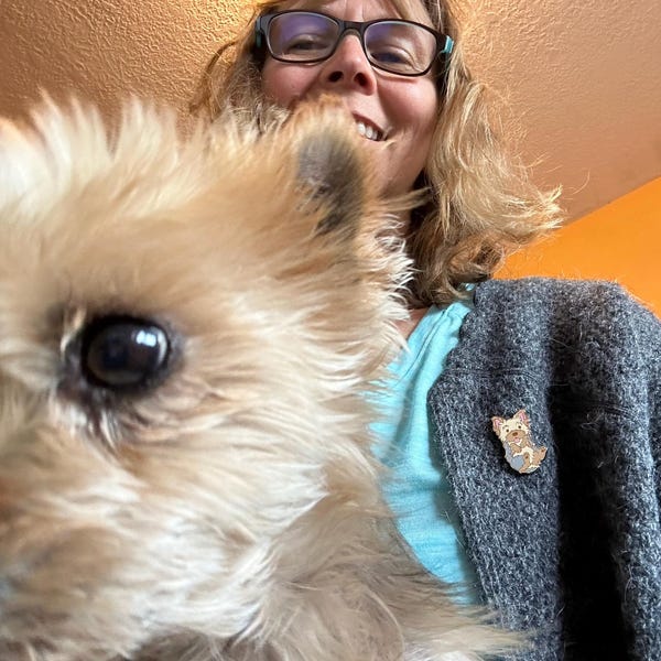 Puppy Beans Collie Sheltie Rough Collie Lassie Enamel Pin - Etsy