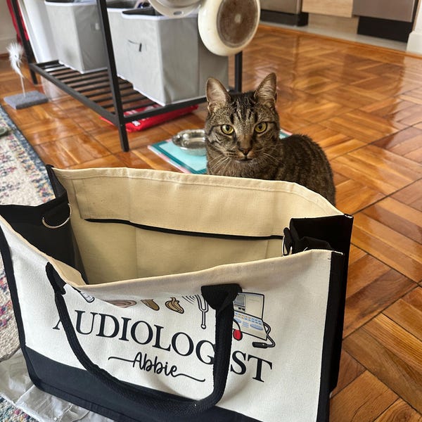 Red Cardinal Suncatcher, Christmas Gift, Cardinals Acrylic Window ...