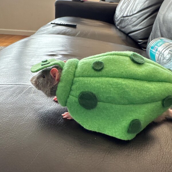 Elf Costume, Pet Costume for Rats, Santa Helper Rat - Available in Red ...