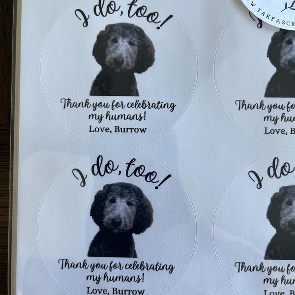 Graduation Stickers for Favors, Graduation Decorations 2024, Custom ...