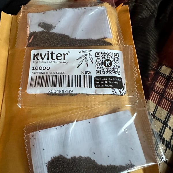 1/4 Lb Zenith Zoysia Grass Seed (zoysia Japonica) – Zenith Zoysia Seeds ...