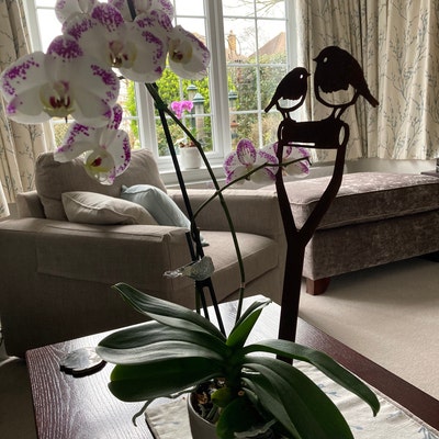 Robin on Spade Garden Decoration / Bird Garden Gift / Rusty Metal Robin ...