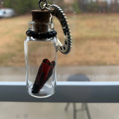 PRINTABLE: Pacific Northwest Native Plant Identification Cards - Etsy