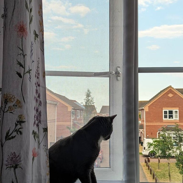Custom Flat Cats Window Screens - Mesh Window Protection for Cats - Etsy