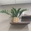 Eco-friendly Vase "eco" - Sustainable Beauty - Original and Earth ...