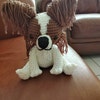 Cavalier King Charles Spaniel Dog Crochet Pattern - Etsy