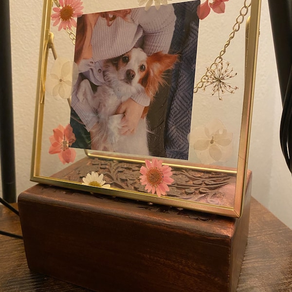 Angel Wing/rose Shadow Box With Lights - Etsy