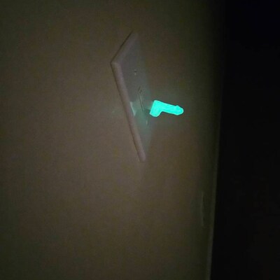 Set of 2 Novelty Light Switch Caps, Penis With Balls Prank Gag Gift ...