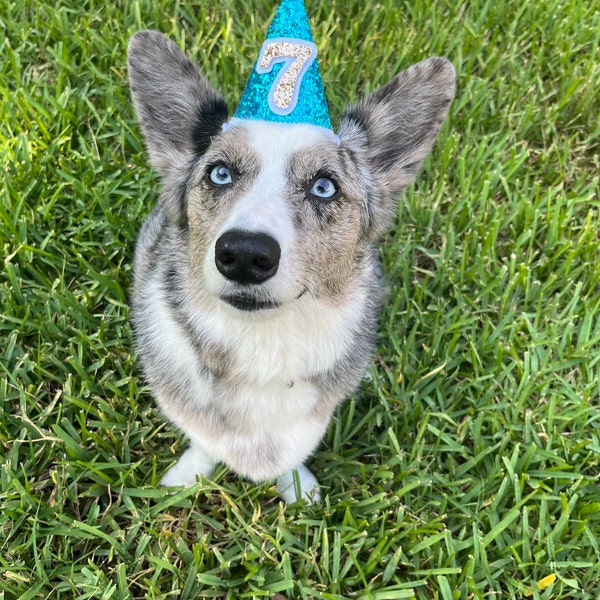 Custom Mini Fun Party Hat, FIRST Birthday, 1st B-day Hat, Girl Boy Dog ...