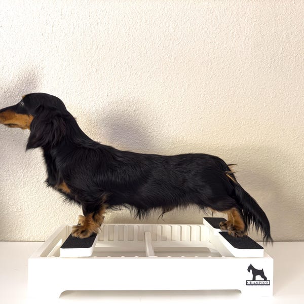 Champion Conformation Stacking Box - Etsy