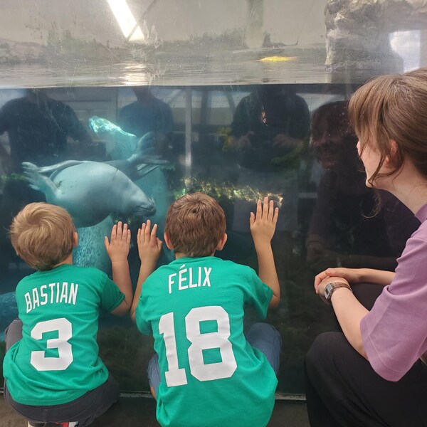 Honda EG Hatch Hatchback Car Baby One Piece, JDM, SI, Honda Civic ...