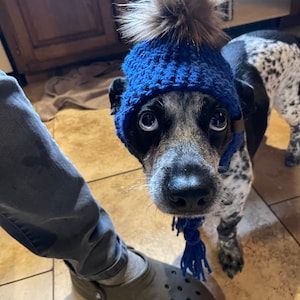 Corgi Beanie Dog Beanie Corgi Hats Dog Hat Dog Beanie Fur Baby Beanies ...