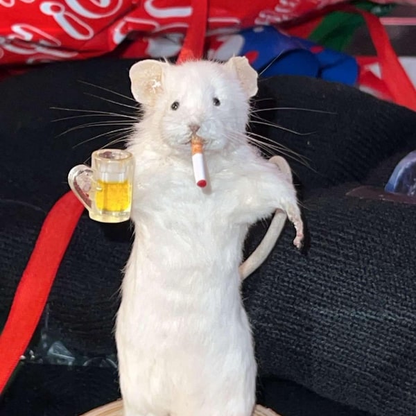 Taxidermy Smoking Drinking Beer Drunk Mouse Funny Gift for Him Her - Etsy