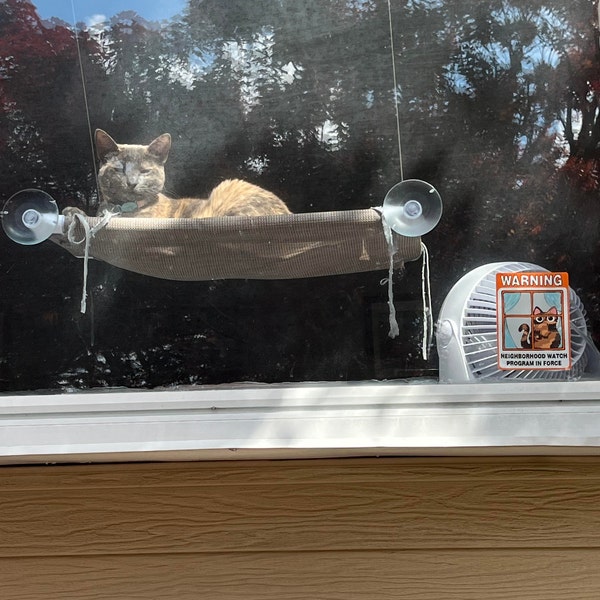 Neighborhood Watch Cat TORTIE Tortoiseshell Cat Window Cling Window ...