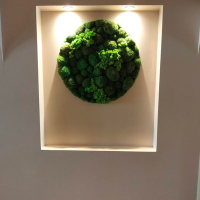 Make Your Own Moss Art DIY Moss Wall Kit Round Moss Art - Etsy