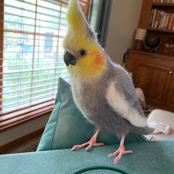 The Felt Bird - Cockatiel. Handmade Felted Bird. the Most Widely Kept ...
