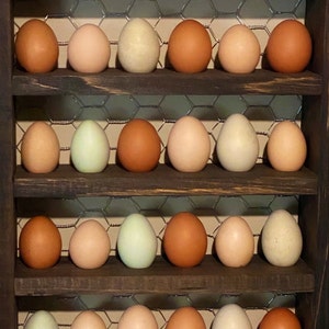 Chicnic Table, Chicken Picnic Table - Etsy