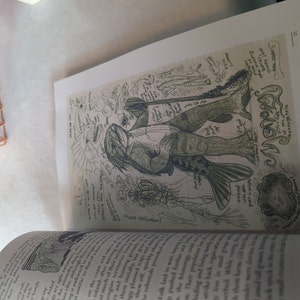 Fireco Monster, a Cryptid Centipede: Insect Bestiary Art Print - Etsy