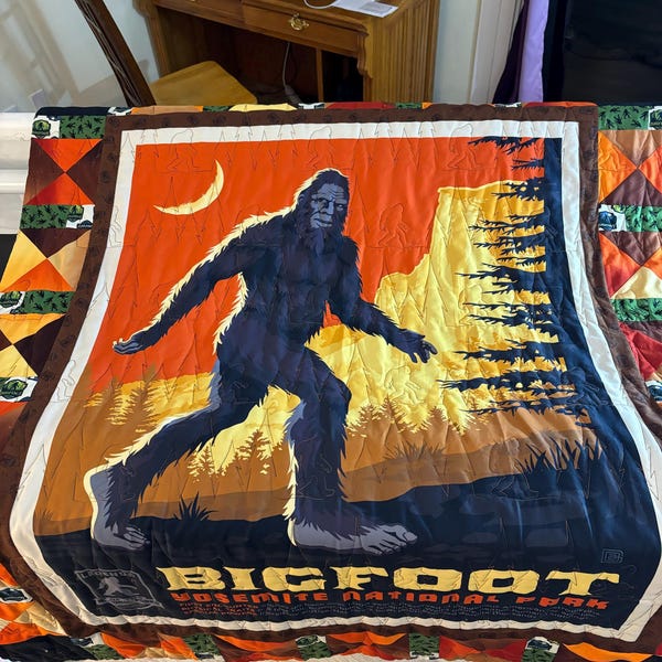 Alien, UFO and Bigfoot Longarm Quilting Digital Pantograph Used in E2E ...