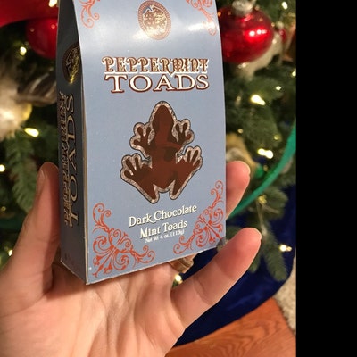 Peppermint Toad Boxes Foldable Template Wizard Party With - Etsy