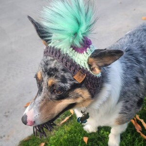 Corgi Beanie Dog Beanie Corgi Hats Dog Hat Dog Beanie | Etsy