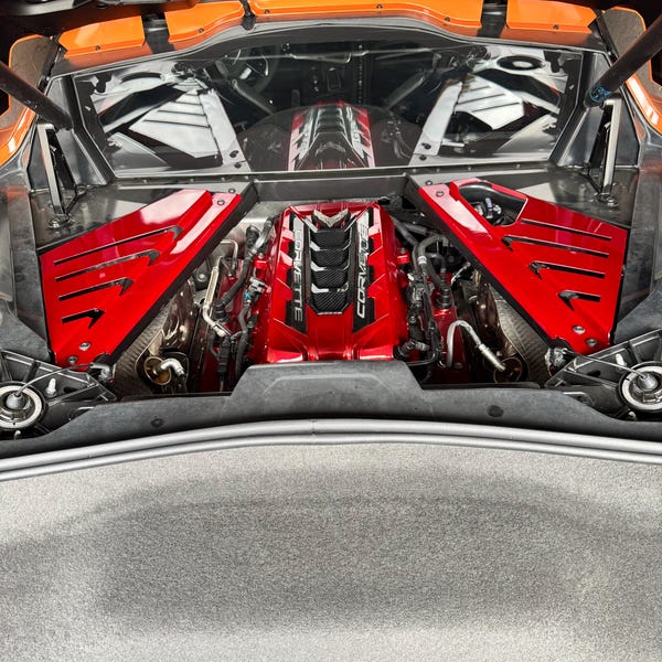 2016-2022 GT500 / GT350 RADIATOR COVER PLATE White and Blue Metallic - Etsy