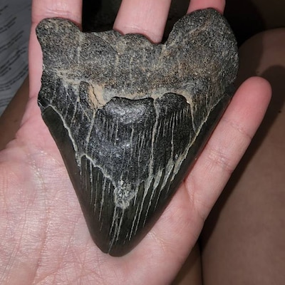 Bumble Bee jasper Slab Extremophile/thermophile - Etsy