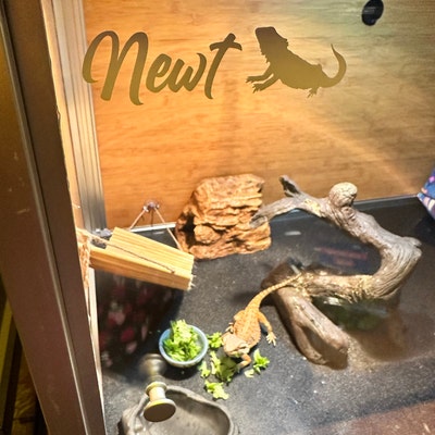 Rat Name Cage Decal for Rat Cage Custom Sign for Rat Cage Accessory for ...