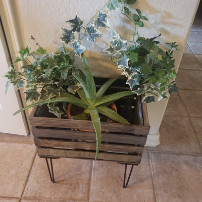 Shou Sugi Ban Style Charred Wood Crate Planter W/ Brushed Gold - Etsy