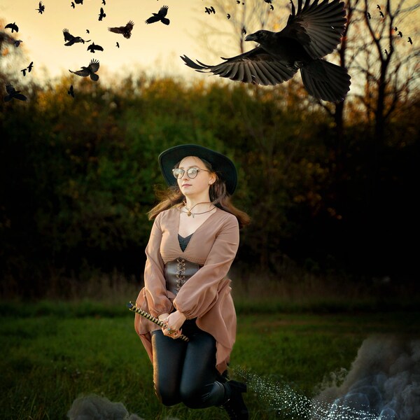 Crows Overlays, Fly Bird Overlays, Black Raven Png, Ravens and Crows ...