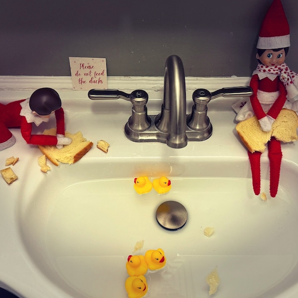 Christmas Elf Don’t Feed the Ducks Prop, Christmas Elf Kit, Holiday Elf ...