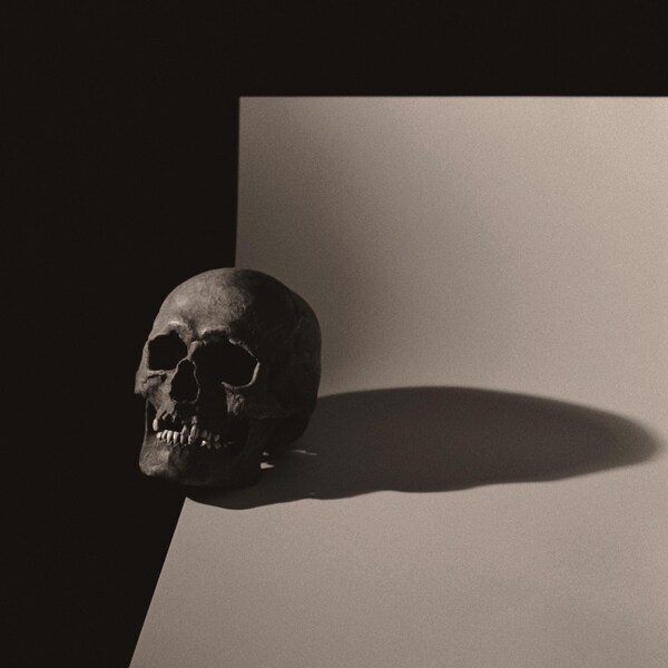 Male Human Skull Replica (with Jaw Attached) - Etsy
