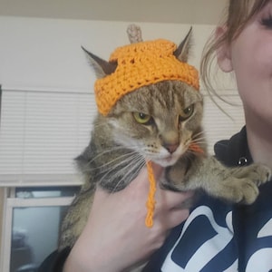Crochet Pattern 054 Cat Pumpkin Hat, Small Dog Pumpkin Hat, Pet ...
