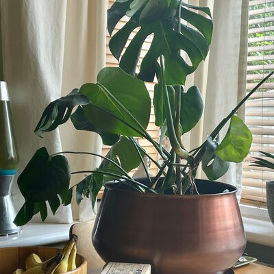 Gold Planters, Black and Gold Planters, Gold Home Decor, Gold Wedding ...