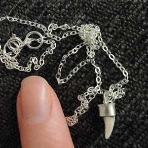 Custom Puppy/ Kitten Tooth Necklace // Pet Memorial Necklace // Dog ...