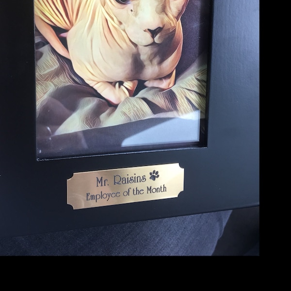 Engraved Solid Brass Plate Picture Frame Art Label Name Tag 2-1/2" X 3/ ...