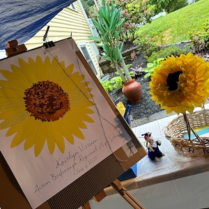 Episode 1 the Phantom Menace/star Wars Movies/each Episode Opening ...