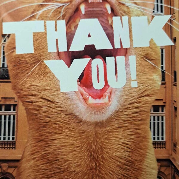 Cat Meme Art Print, Cat Lover Gift Idea, Motivational Poster, Funny Cat ...